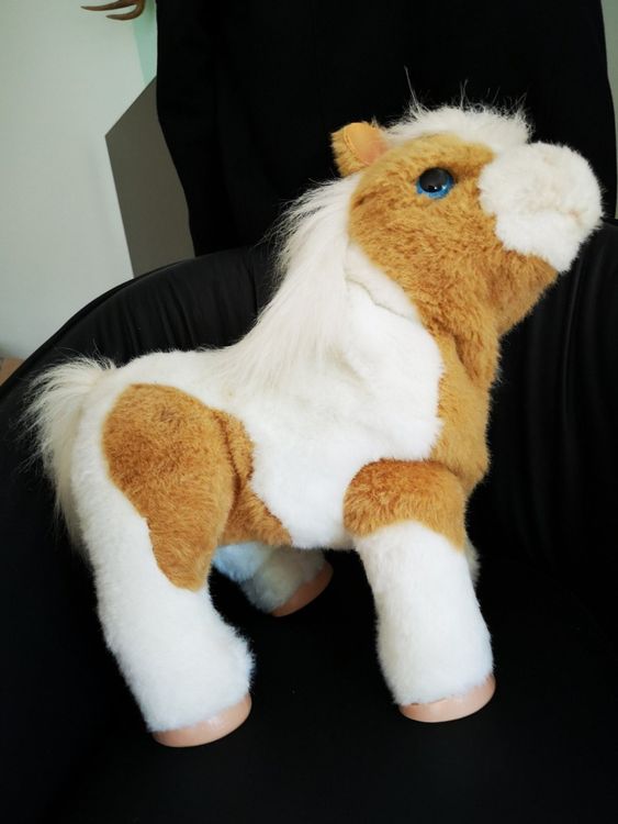 FurReal Friends Baby Buttercotch - My Magical Show Pony (Gebraucht) in ...