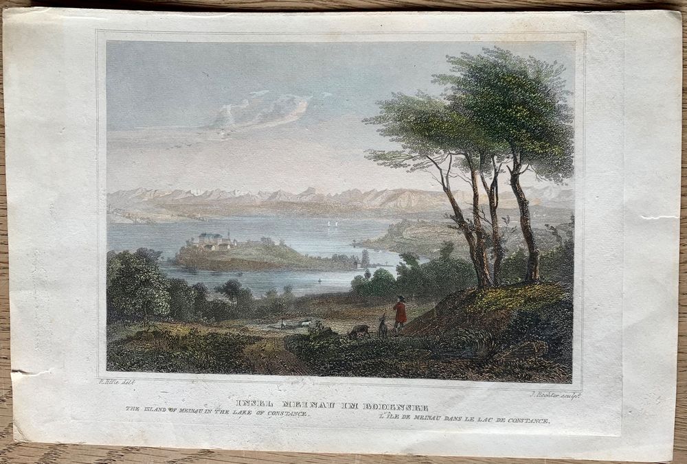 Antiker Farbstich Insel Meinau im Bodensee J. Richter um1850 | Kaufen ...