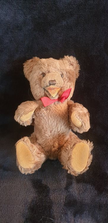 Teddy / Bär alt (Gebraucht) in für CHF 15 – mit Lieferung auf Ricardo ...