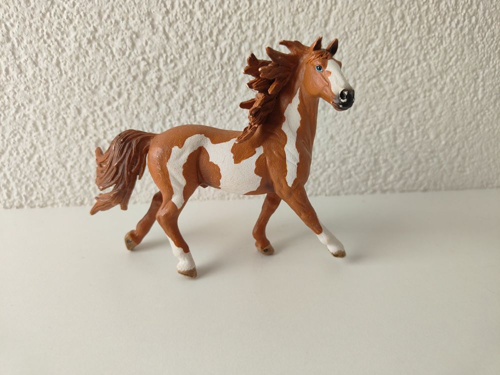 Schleich Pinto Hengst Horse Club Pferde Bauernhof (Gebraucht) in Thalwil für CHF 3 – mit ...