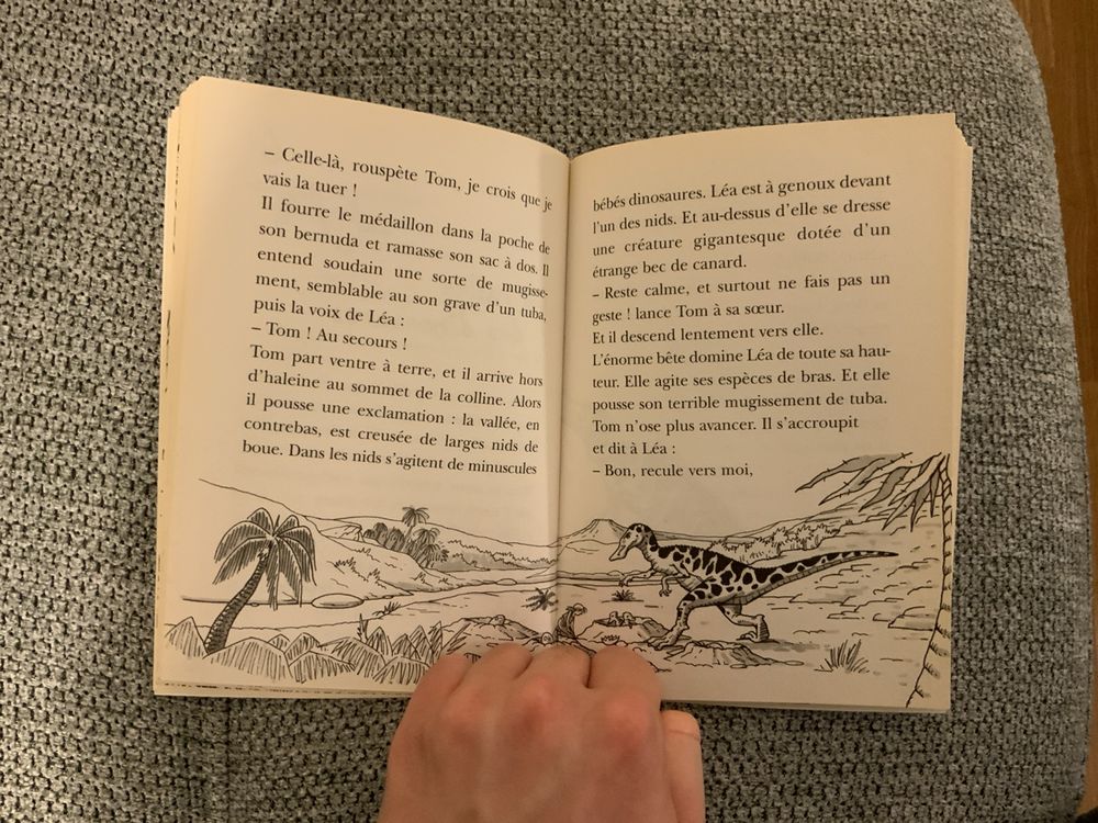 Livre La Cabane Magique 1 - La vallée des dinosaures | Kaufen auf Ricardo