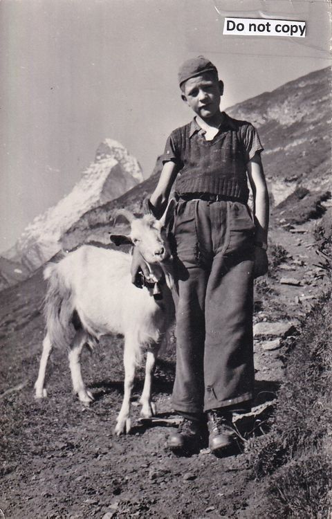 Zermatt VS - Ziegenhirt mit Ziege um 1962 (Gebraucht) in Niedergesteln ...