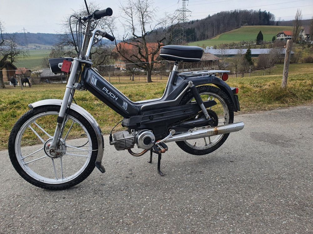 Puch Maxi S Schwarz (Gebraucht) in Deisswil Mbuchsee für CHF 1540 – nur Abholung auf Ricardo kaufen