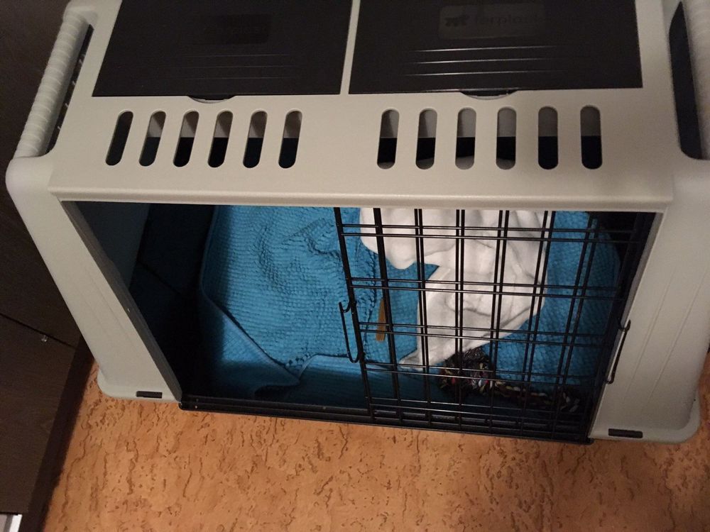 atlas car 80 mit trennwand | Kaufen auf Ricardo