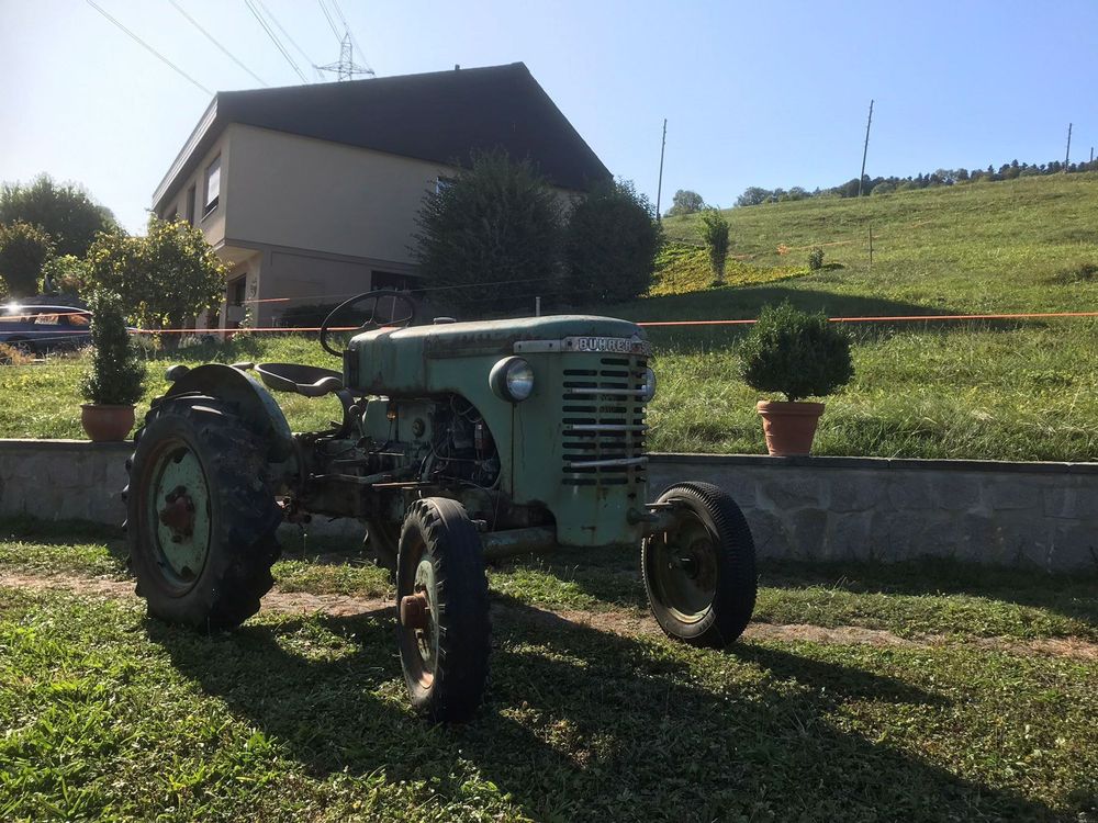 Oldtimer Traktor Bührer kaufen auf Ricardo