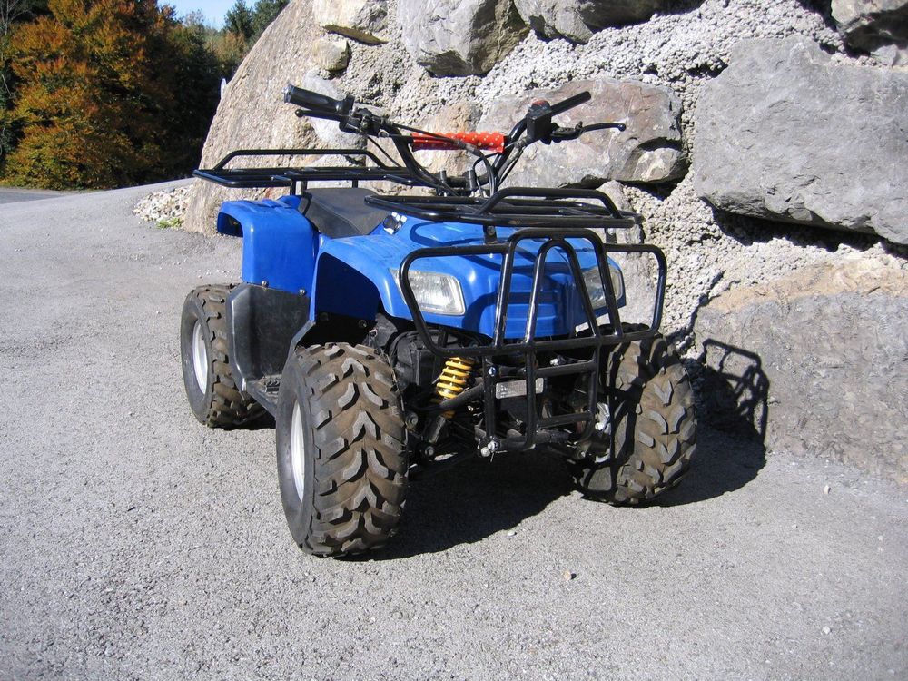 El. Quad | Kaufen auf Ricardo