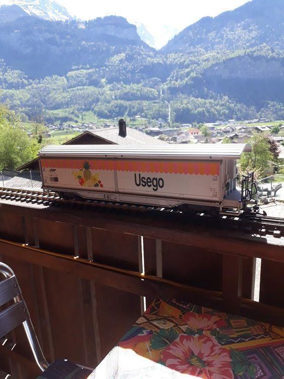 Schibewandwagen USEGO RhB 42570 | Kaufen auf Ricardo