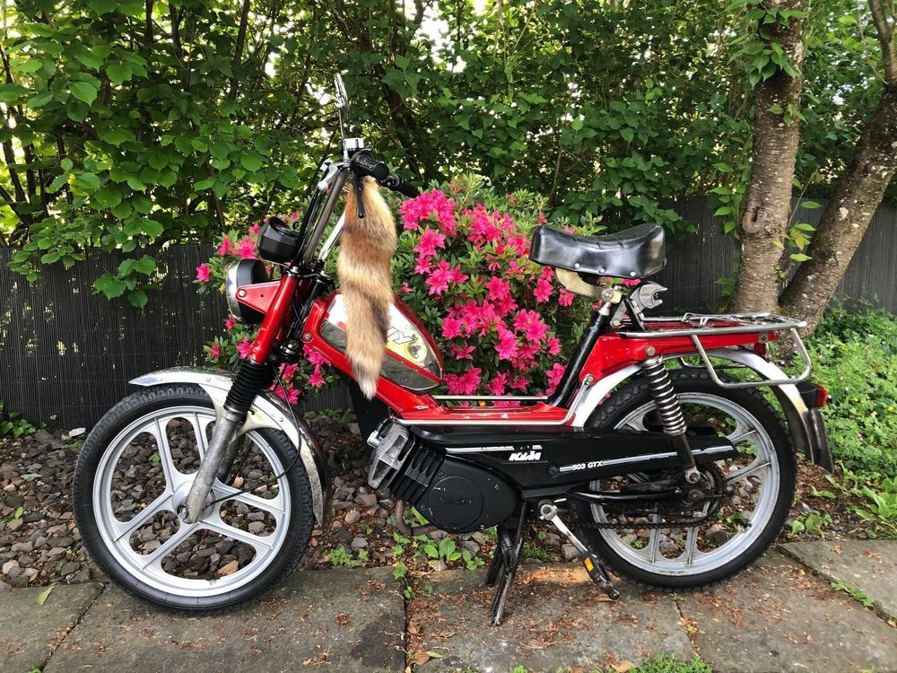 Pony Sachs 503 Breitwand GTX KTM | Kaufen auf Ricardo