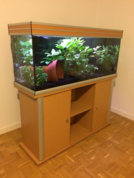 Aquarium 240 Liter | Kaufen auf Ricardo