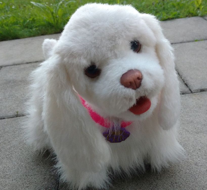 FurReal Friends Gogo Hund von Hasbro | Kaufen auf Ricardo