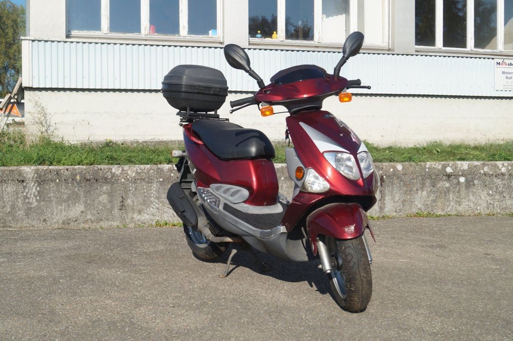 PGO T-Rex Scooter 50ccm Roller (Nr.0409) | Kaufen auf Ricardo