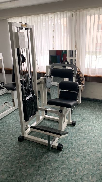 Technogym „Lower Back Rom“ | Kaufen auf Ricardo