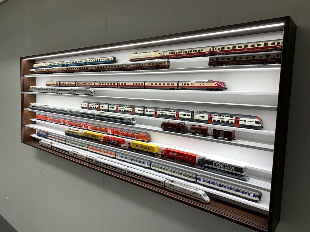 Modellbahnvitrine H0 200 cm für Ganzzugskompositionen | Acheter sur Ricardo