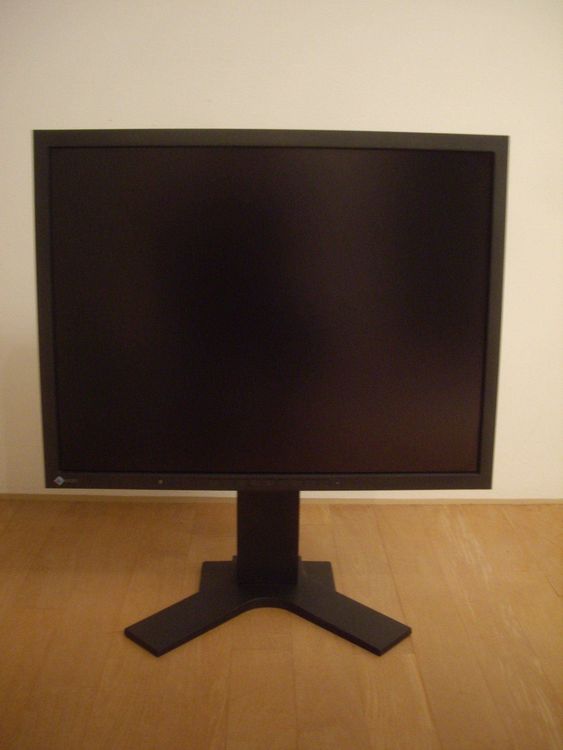 EIZO FlexScan S2100 | Kaufen auf Ricardo