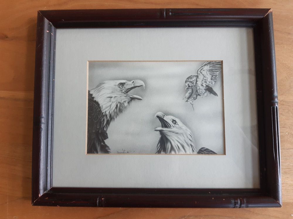 Bild von Sam Lu | Kaufen auf Ricardo