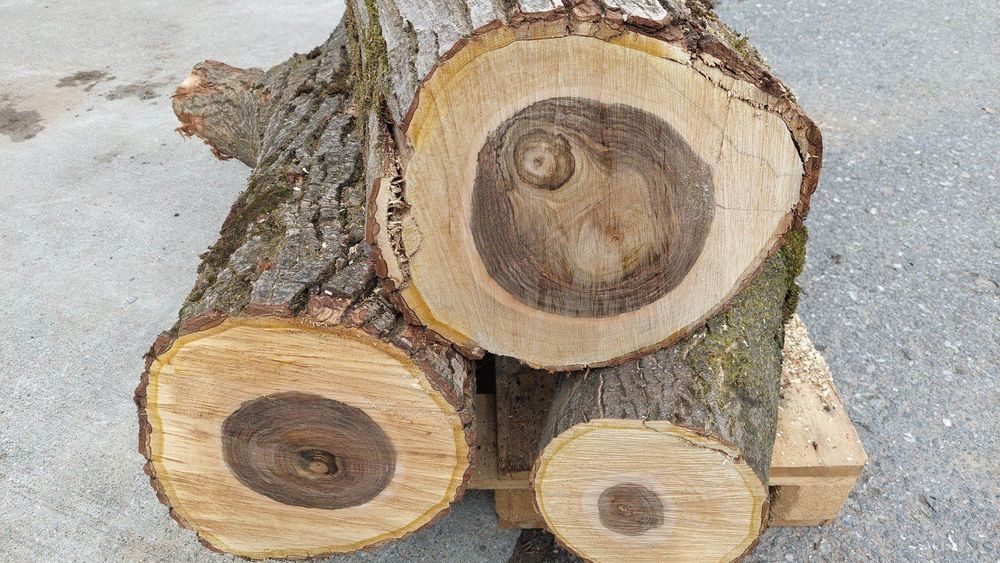 Nussbaum Nussholz Ast drechseln basteln | Acheter sur Ricardo