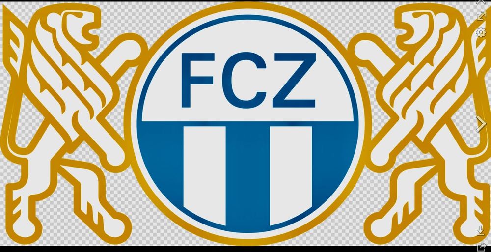 FCZ–GC 2Ticket | Acheter sur Ricardo