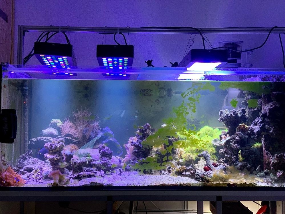 Meerwasser Aquarium Ohne Inhalt Glasbecken Untergestell Kaufen Auf meerwasser-aquarium-ohne-inhalt-glasbecken-untergestell-kaufen-auf