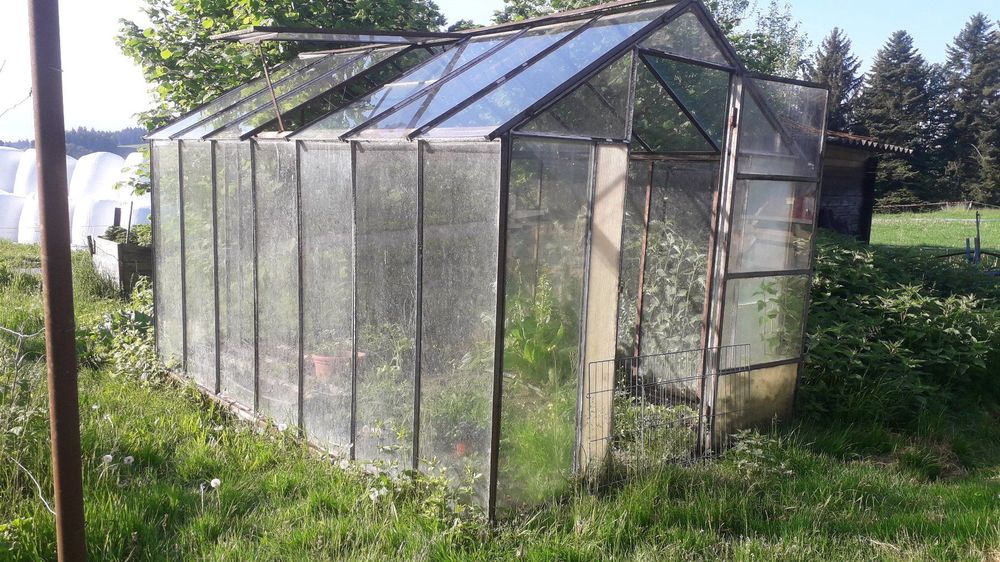 Treibhaus | Kaufen auf Ricardo