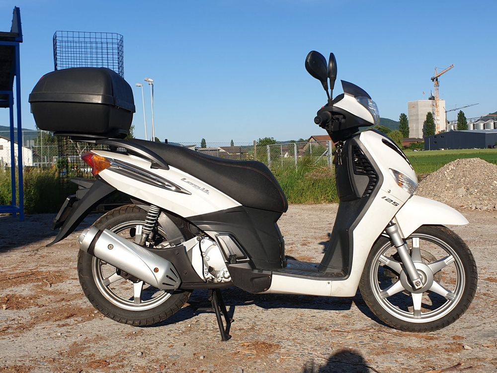 Tell Logik 125 Roller Scooter | Acheter sur Ricardo