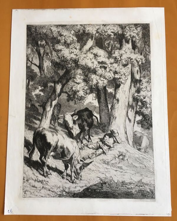 Rudolf Koller (1828-1905), Orig. Radierung - Kühe | Acheter sur Ricardo
