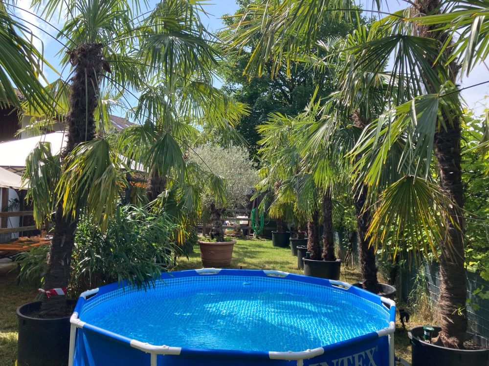 Intex Pool 3m x 0.76m mit Filterpumpe | Kaufen auf Ricardo