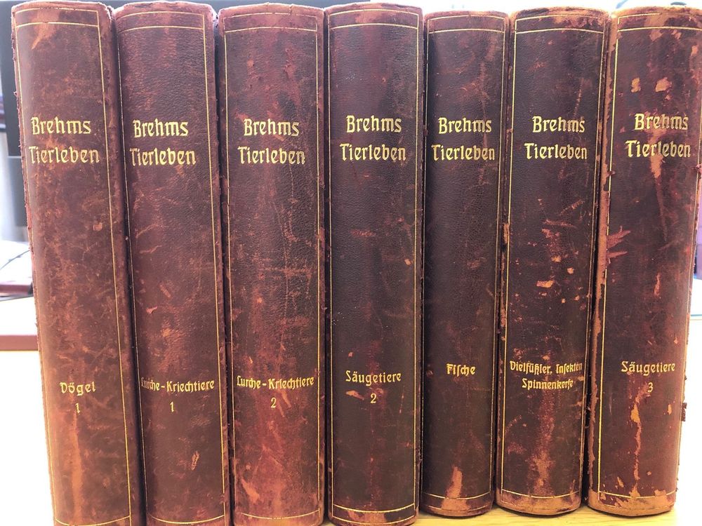 Lexikon | Kaufen auf Ricardo