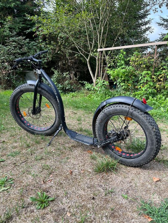 FATMAX Dogscooter - der Winter- und Geländegängige | Kaufen auf Ricardo