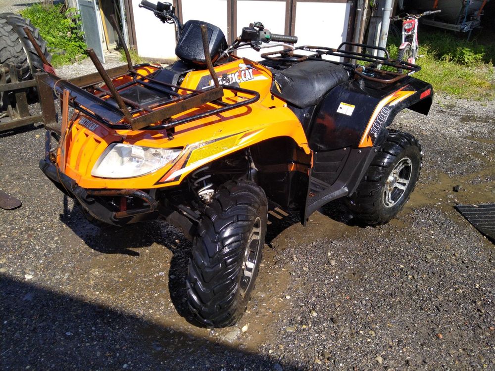 Quad Arctic Cat 1000 | Kaufen auf Ricardo