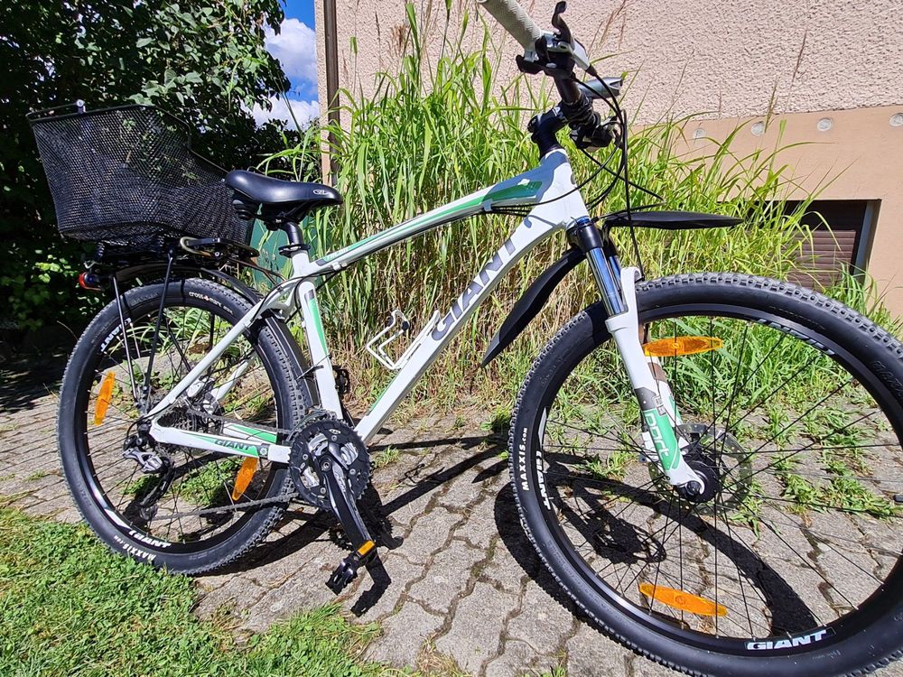 Damen Bike Giant | Kaufen auf Ricardo