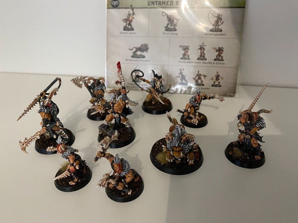 Warhammer Warcry Untamed Beasts | Kaufen auf Ricardo