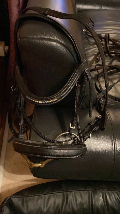 Shetty zaum | Kaufen auf Ricardo