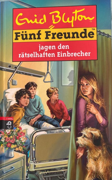Fünf Freunde jagen den rätselhaften Einbrecher (Enid Blyton) | Acheter ...