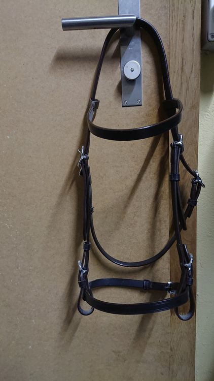 Neuer Barock Zaum | Kaufen auf Ricardo