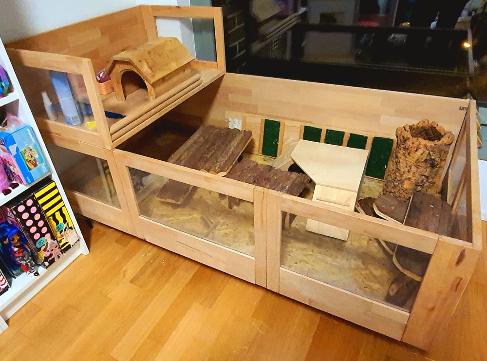 Grosses Vivarium / Gehege für Meerschweinchen | Kaufen auf Ricardo