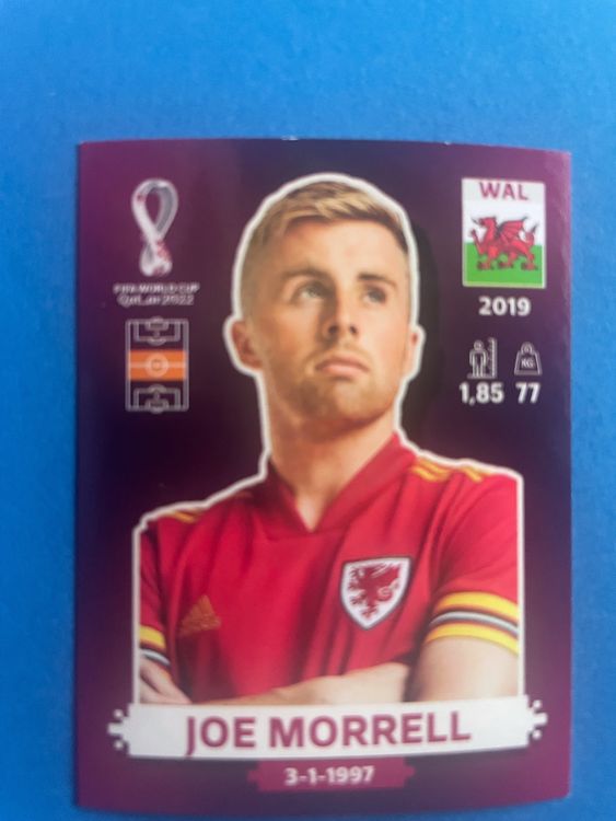 WAL 13 Panini WM 2022 JOE MORRELL | Kaufen auf Ricardo