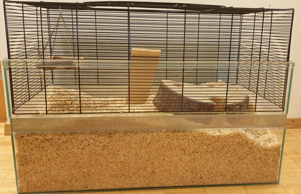 Mäusekäfig, Mauskäfig | Kaufen auf Ricardo