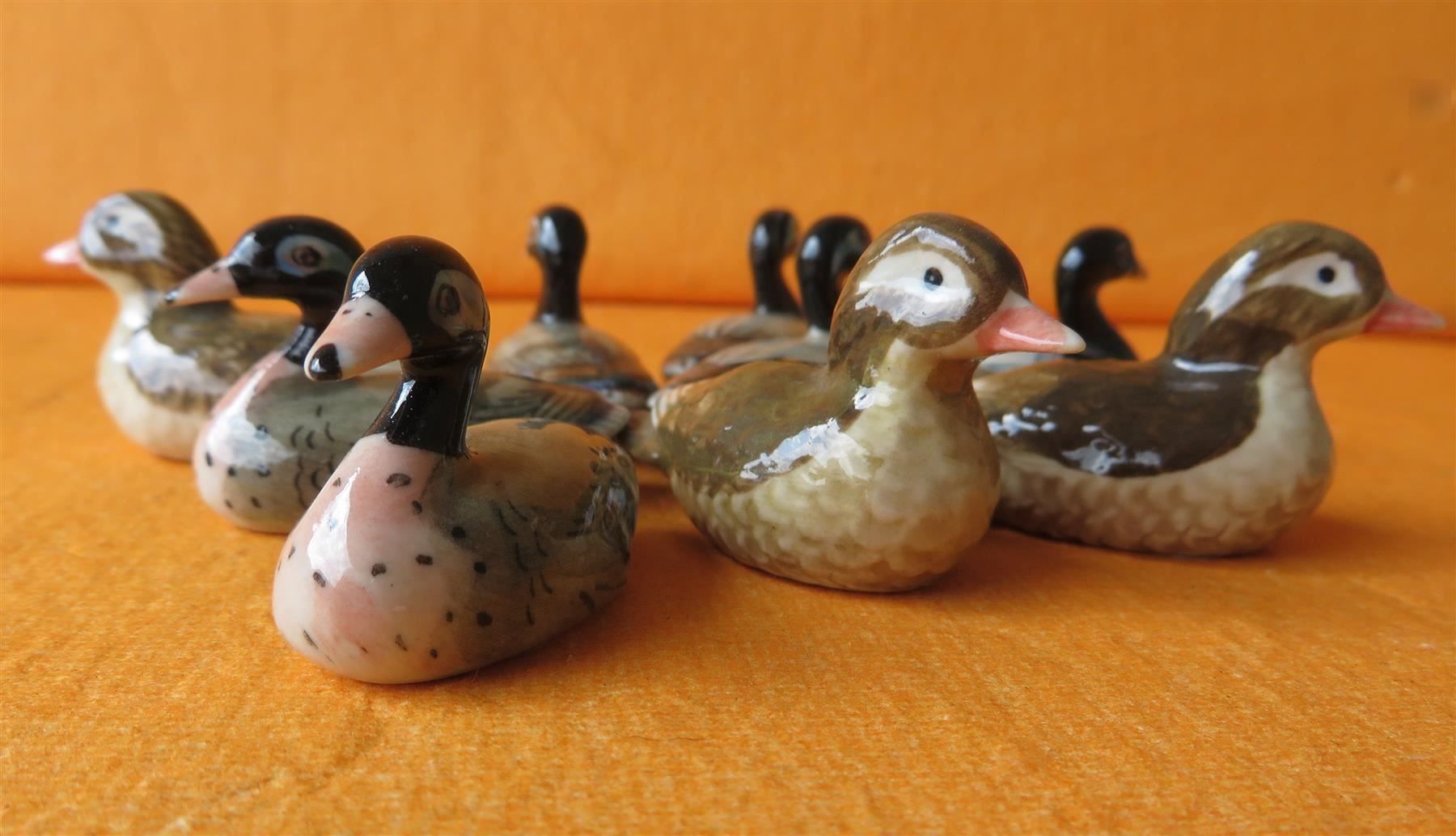 Neun (9) Wunderschöne, Porzellan Enten kaufen auf Ricardo