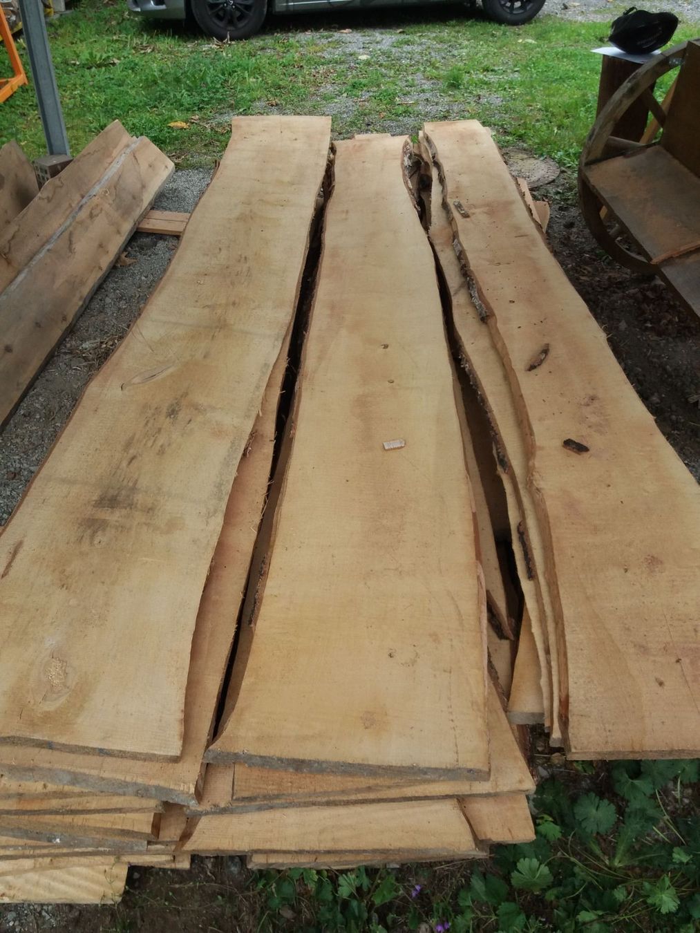 Bretter Birkenbretter Birkenholz Birke | Kaufen auf Ricardo