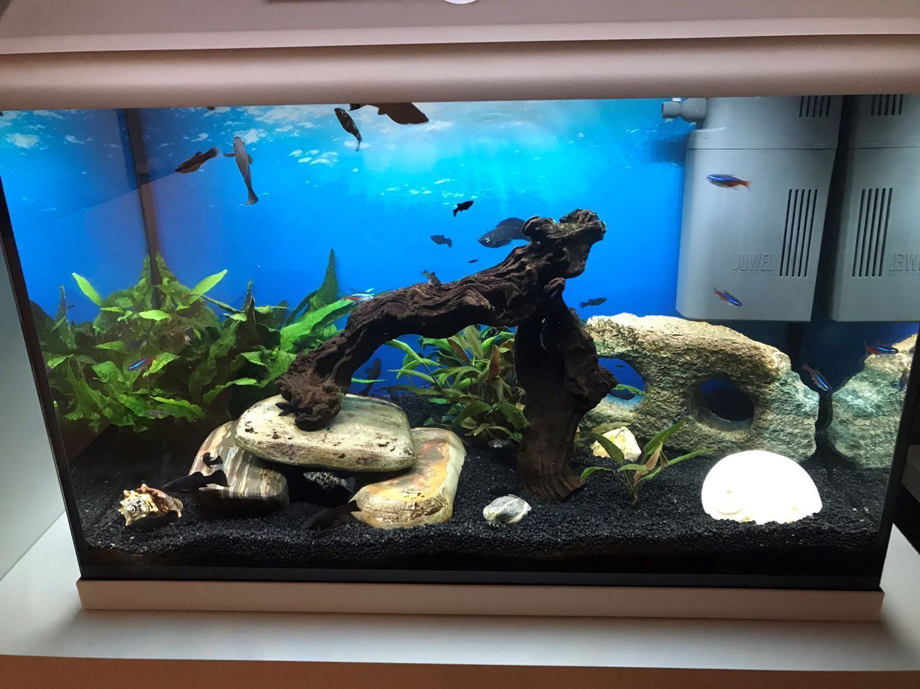 Aquarium 80l | Kaufen auf Ricardo