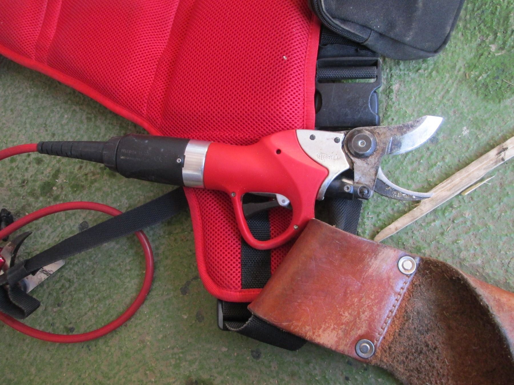 secateur électrique felco 811 | Acheter sur Ricardo