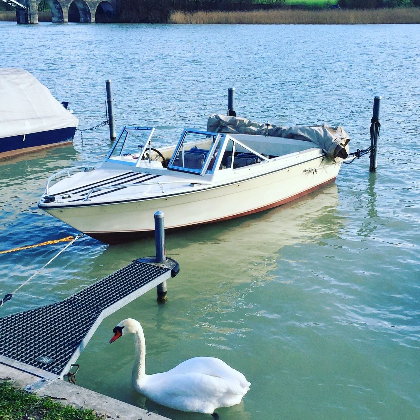 Motorboot inklusive Trailer kaufen auf Ricardo