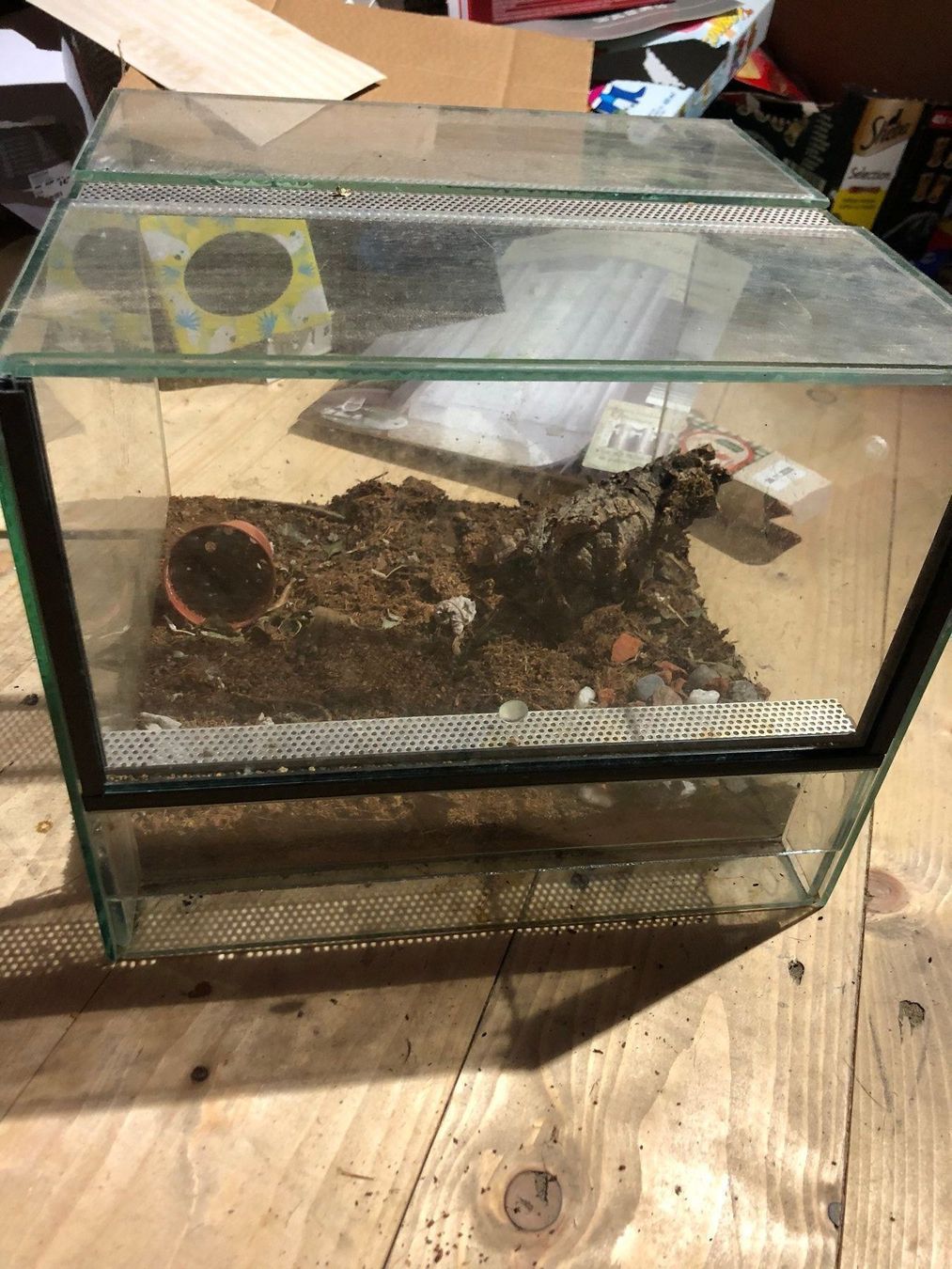 Terrarium 30 x 30 x 30 | Kaufen auf Ricardo