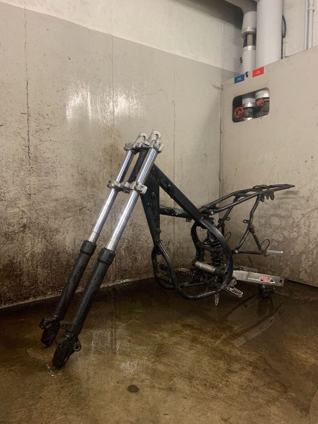 Beta RR 50 Rahmen mit Ausweis | Kaufen auf Ricardo