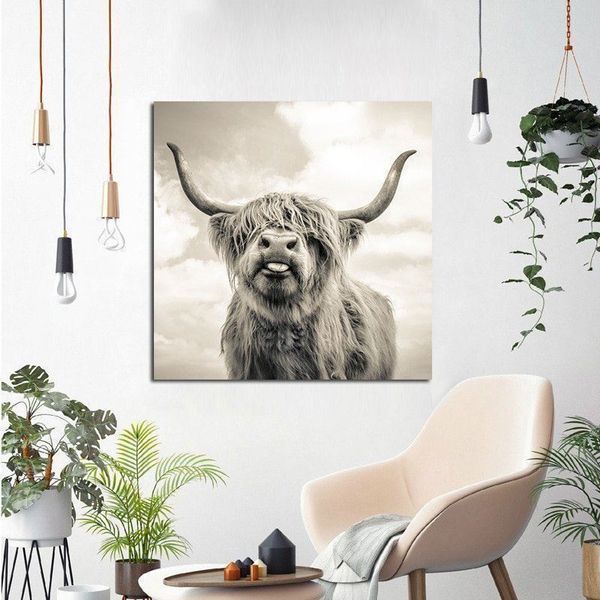 Bild Leinwand Bulle Ochse Kuh 70 x 70 cm | Kaufen auf Ricardo